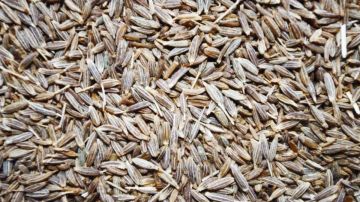 20 beneficios del comino para tu salud - Comedera - Recetas, tips y ...