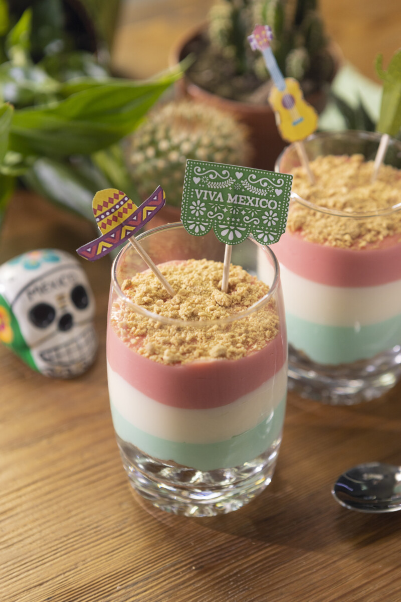 Receta de carlota tricolor: postre fácil - Comedera